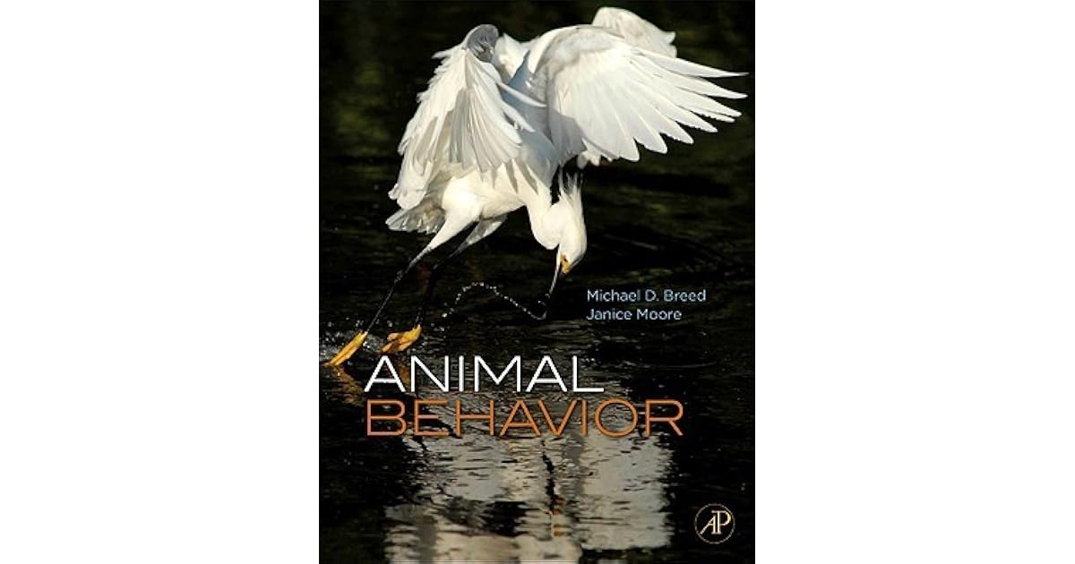 Animal Behavior by Michael D. Breed