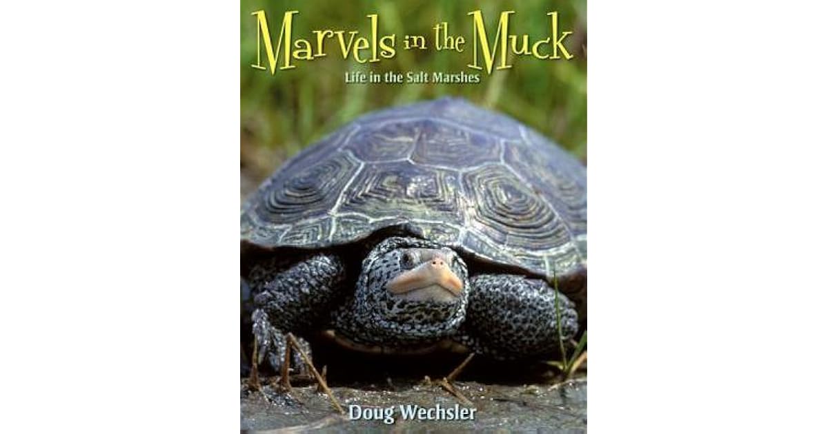 Marvels in the Muck: Life in the Salt Marshes by Doug Wechsler