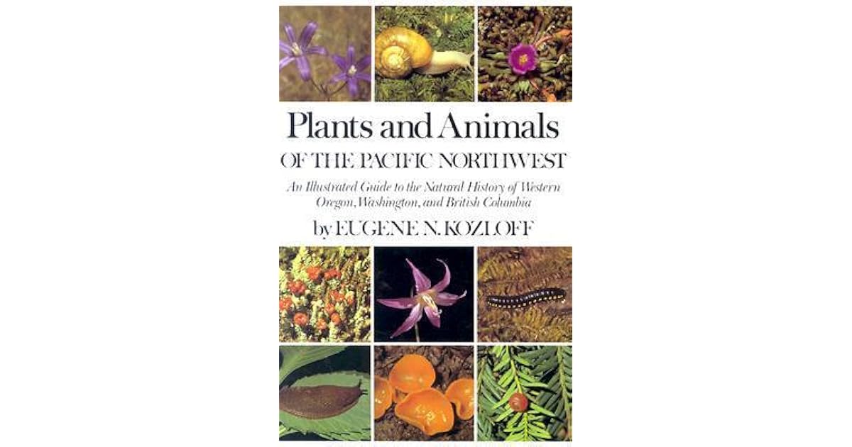Plants and Animals of the Pacific Northwest: An Illustrated Guide to ...