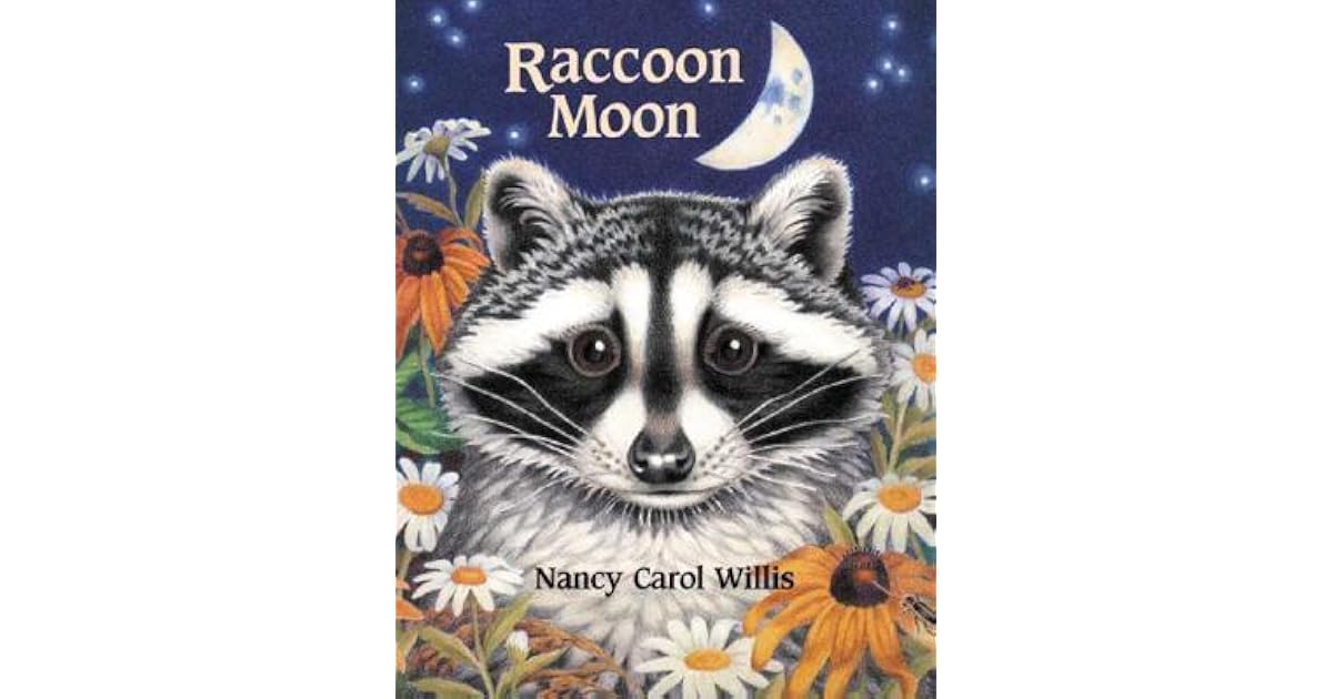 Raccoon Moon by Nancy Carol Willis