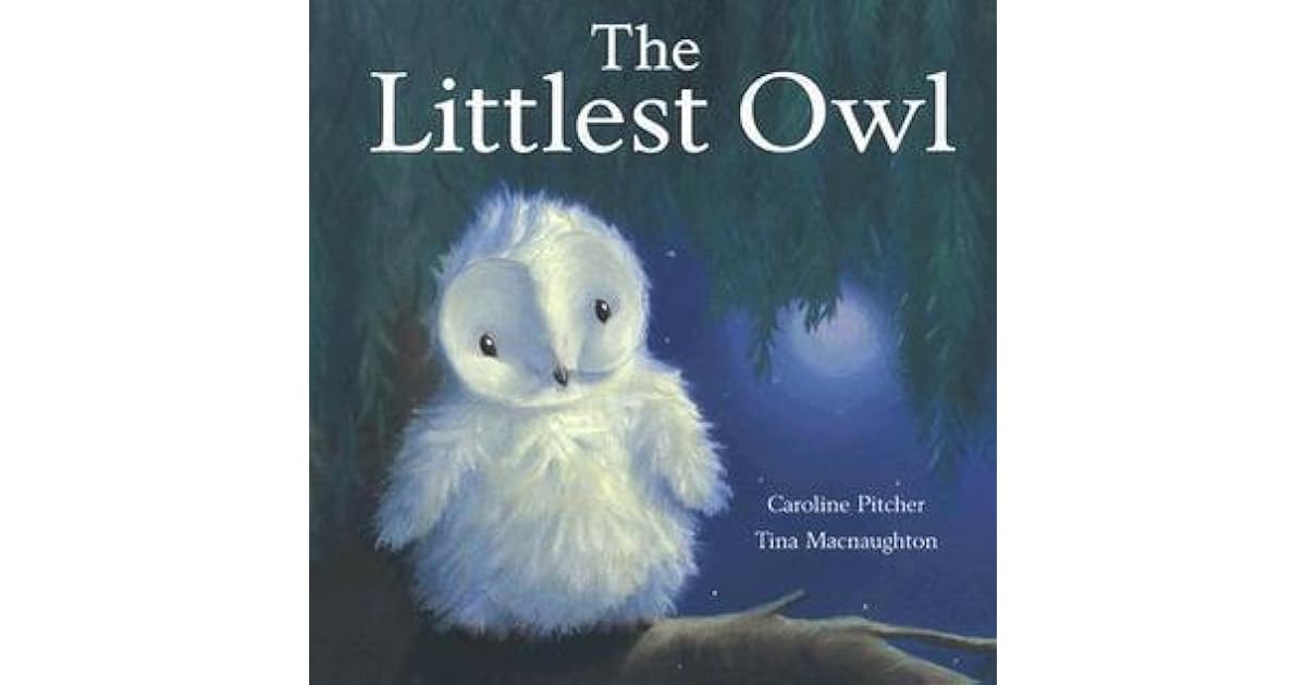 The Littlest Owl by Caroline Pitcher