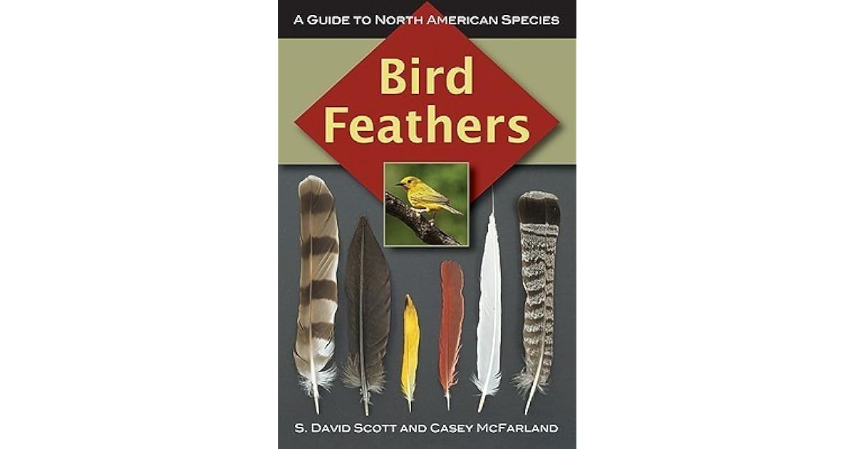 Bird Feathers: A Guide to North American Species by S. David Scott