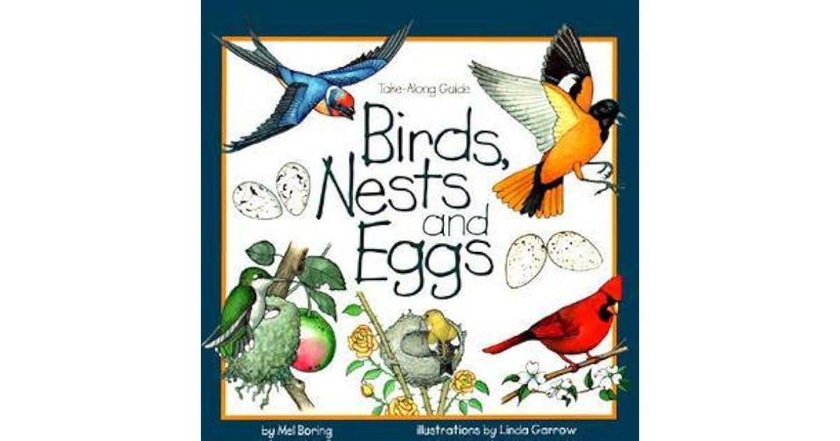 Birds, Nests & Eggs by Mel Boring