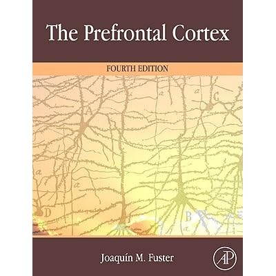The Prefrontal Cortex by Joaquin M. Fuster — Reviews, Discussion ...