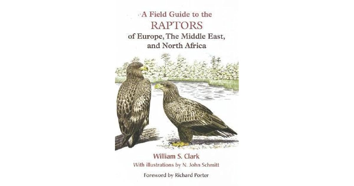 A Field Guide to the Raptors of Europe, the Middle East, and North ...