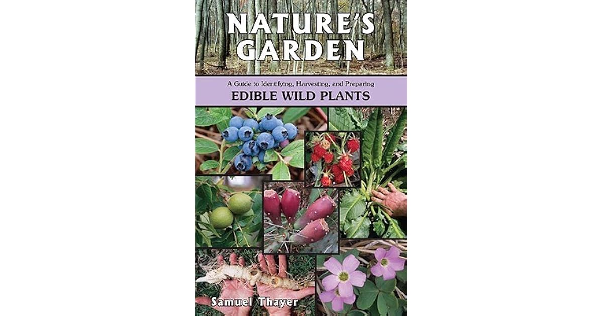Nature's Garden: A Guide to Identifying, Harvesting, and Preparing ...