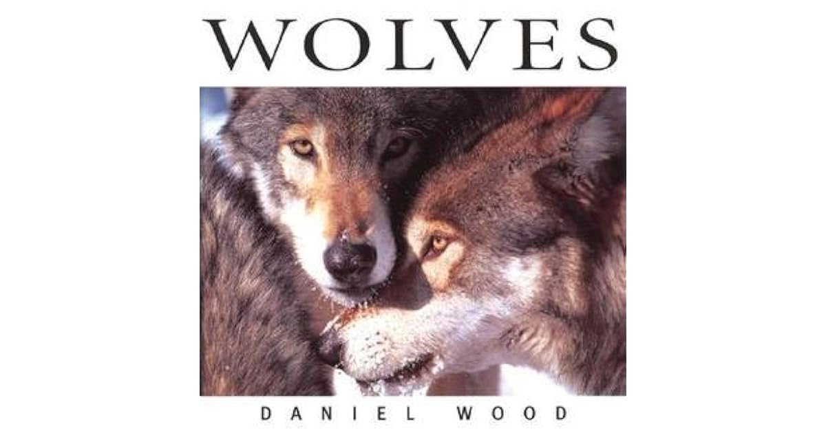 Wolves by Daniel Wood