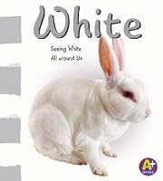 White: Seeing White All Around Us by Michael Dahl
