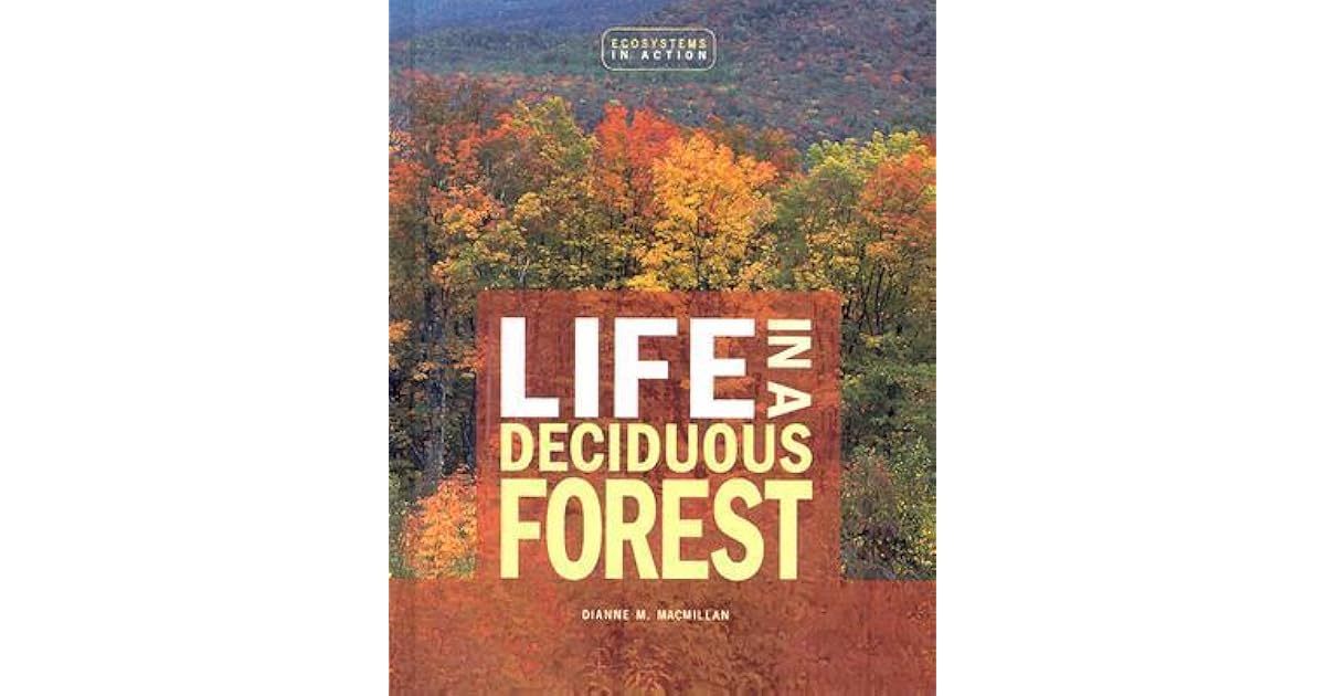 Life In A Deciduous Forest by Dianne M. MacMillan