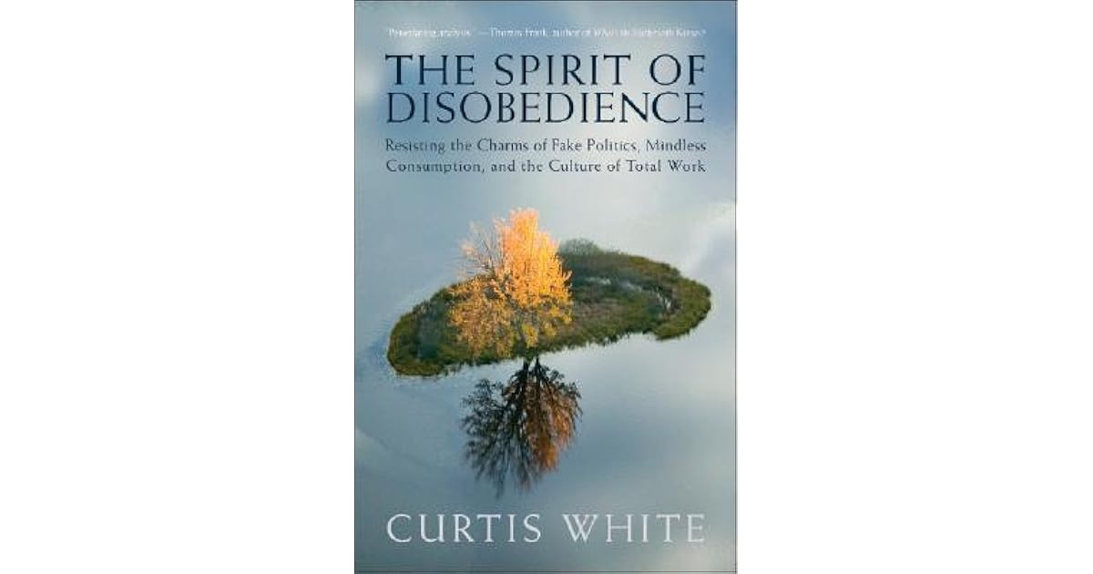 Spirit of Disobedience: Resisting the Charms of Fake Politics, Mindless ...