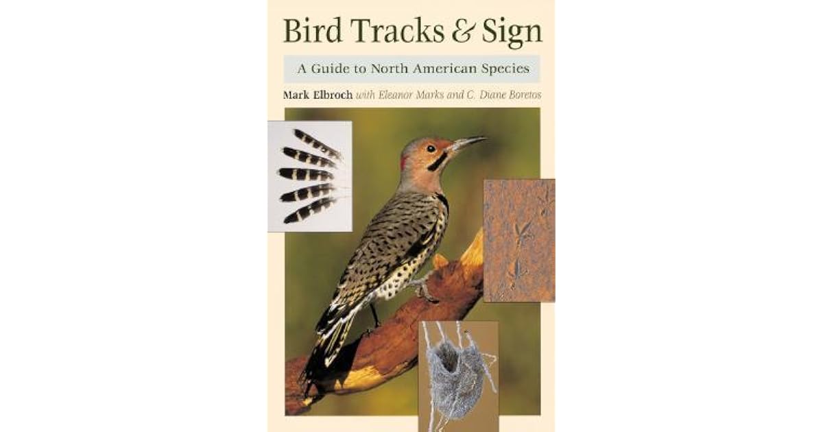 Bird Tracks & Sign: A Guide to North American Species by Mark Elbroch