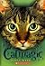 Cat Fiction & Fantasy (And ONLY Cats) (91 books)