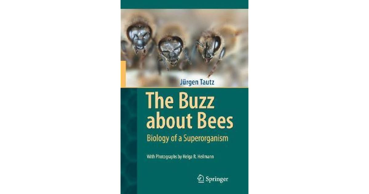 The Buzz about Bees: Biology of a Superorganism by Jürgen Tautz