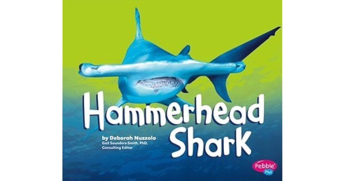 Hammerhead Shark by Deborah Nuzzolo