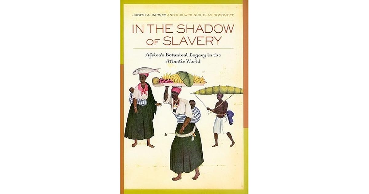 In the Shadow of Slavery: Africa’s Botanical Legacy in the Atlantic ...