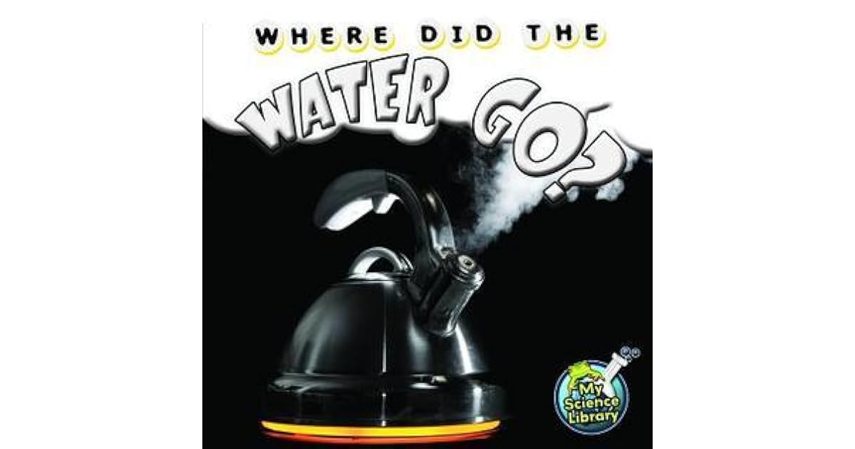 Where Did The Water Go? by Amy S. Hansen