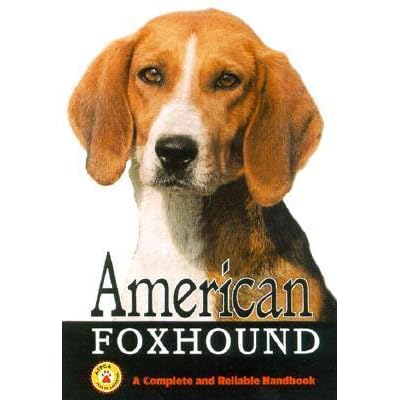 Does The Trigg Hound Bark A Lot