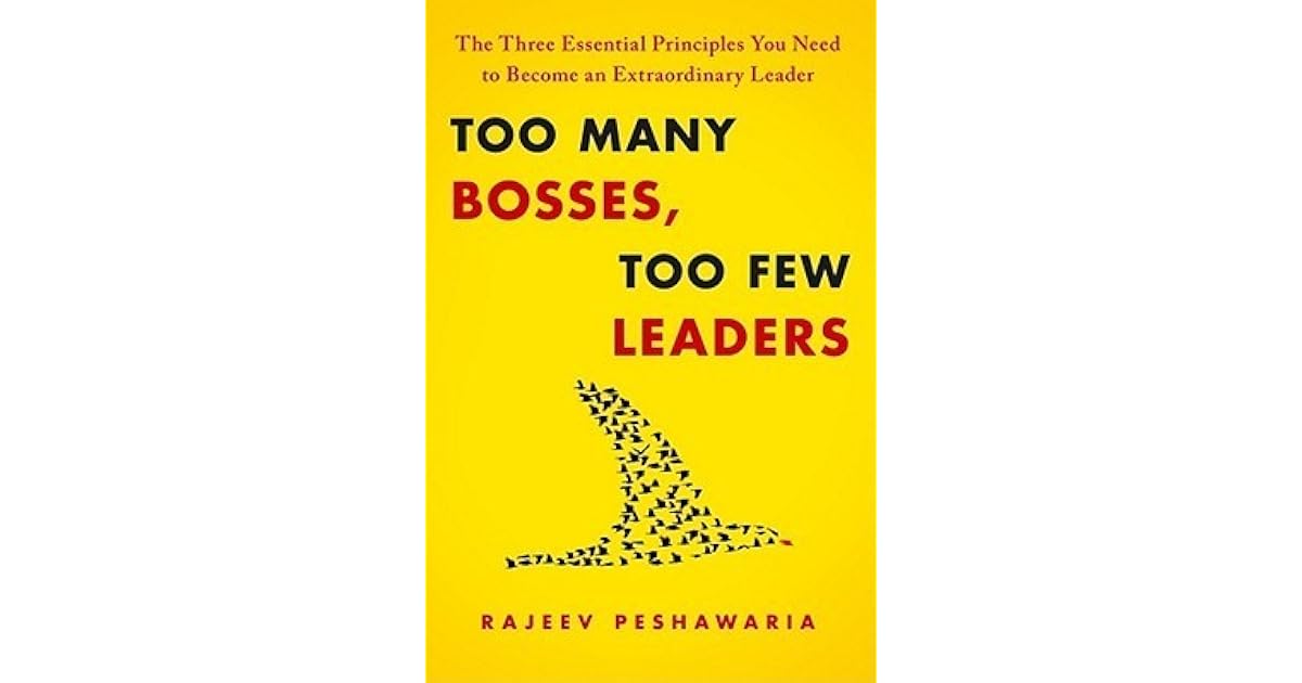 Too Many Bosses, Too Few Leaders: The Three Essential Principles You ...
