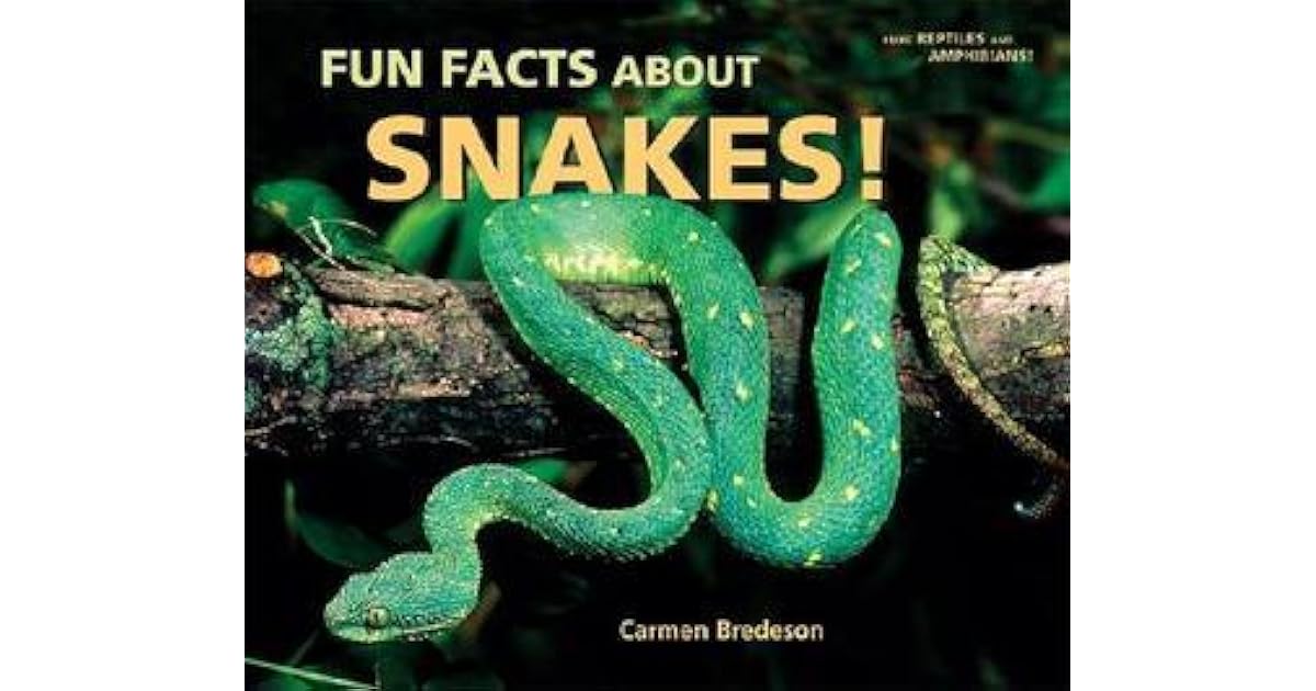 Fun Facts about Snakes! by Carmen Bredeson