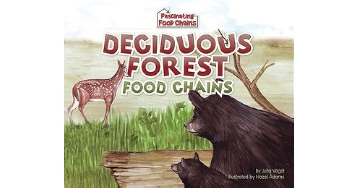 Deciduous Forest Food Chains by Julia Vogel