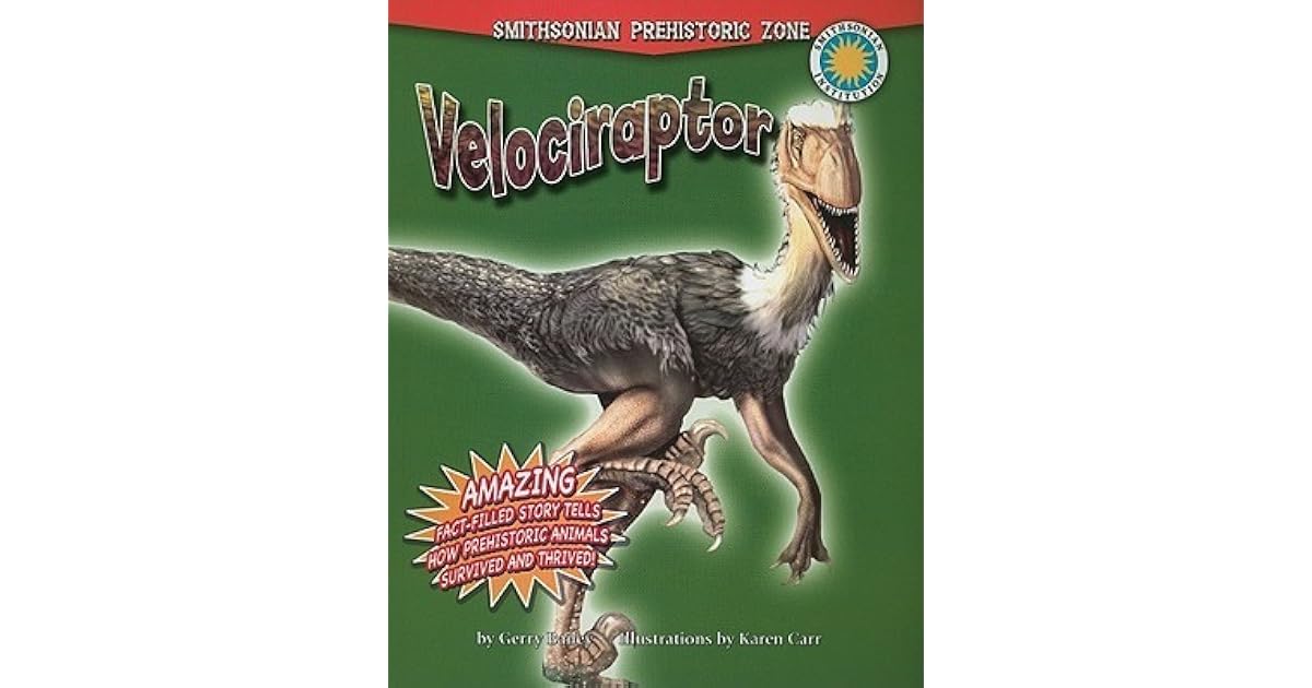 Velociraptor by Gerry Bailey