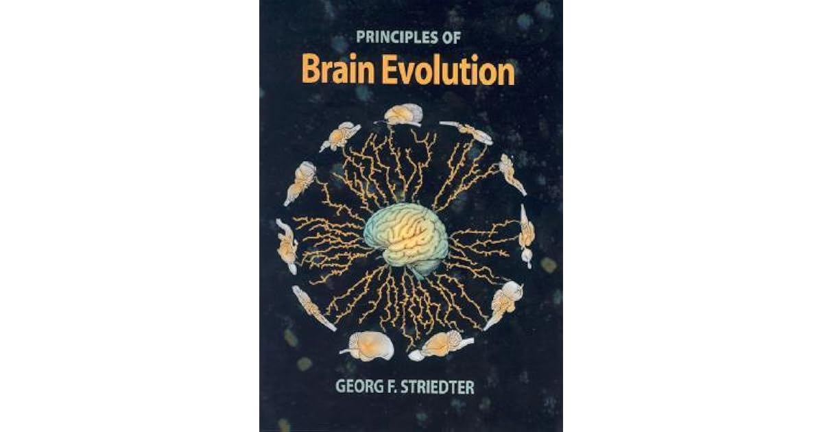 Principles of Brain Evolution by Georg F. Striedter