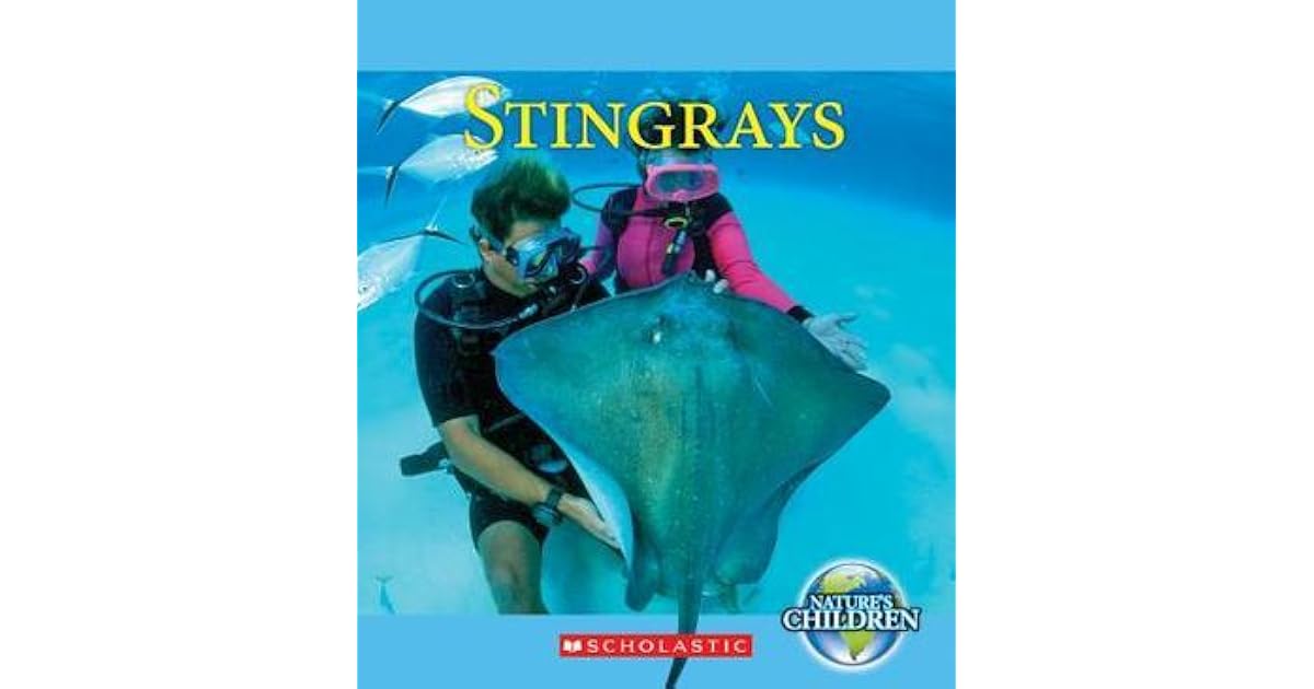 Stingrays by Jennifer Zeiger