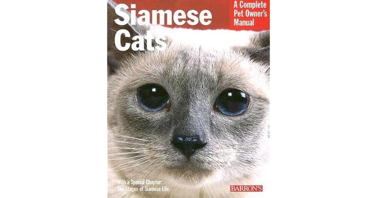 Siamese Cats by Marjorie Collier