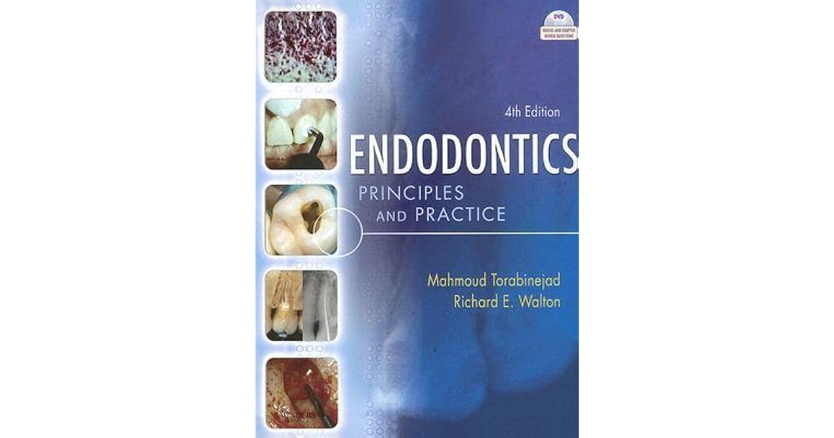 Endodontics: Principles and Practice [With DVD] by Mahmoud Torabinejad