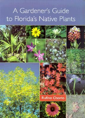 Florida Native Wildflowers | Best Flower Site