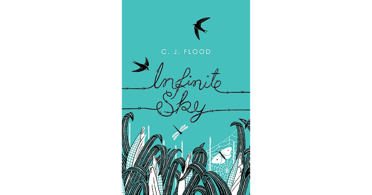 Infinite Sky (Infinite Sky, #1) by C.J. Flood