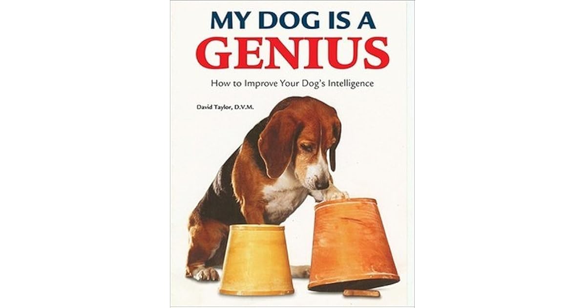 My Dog Is a Genius: How to Improve Your Dog's Intelligence by David Taylor