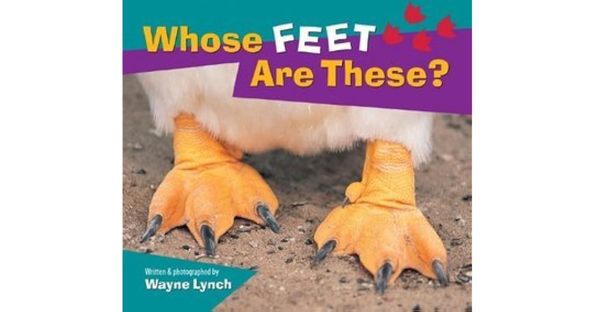Whose Feet Are These? by Wayne Lynch