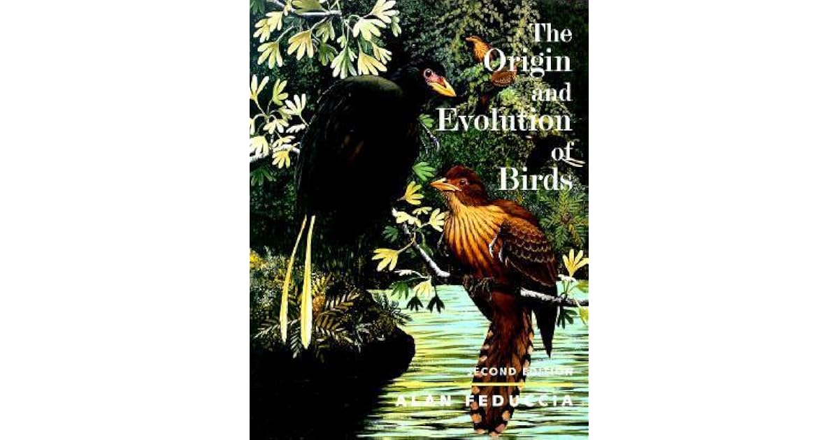 The Origin and Evolution of Birds by Alan Feduccia