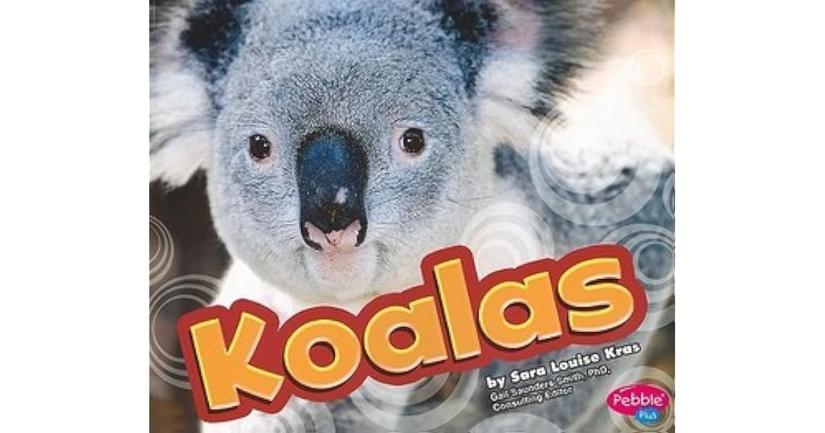 Koalas by Sara Louise Kras