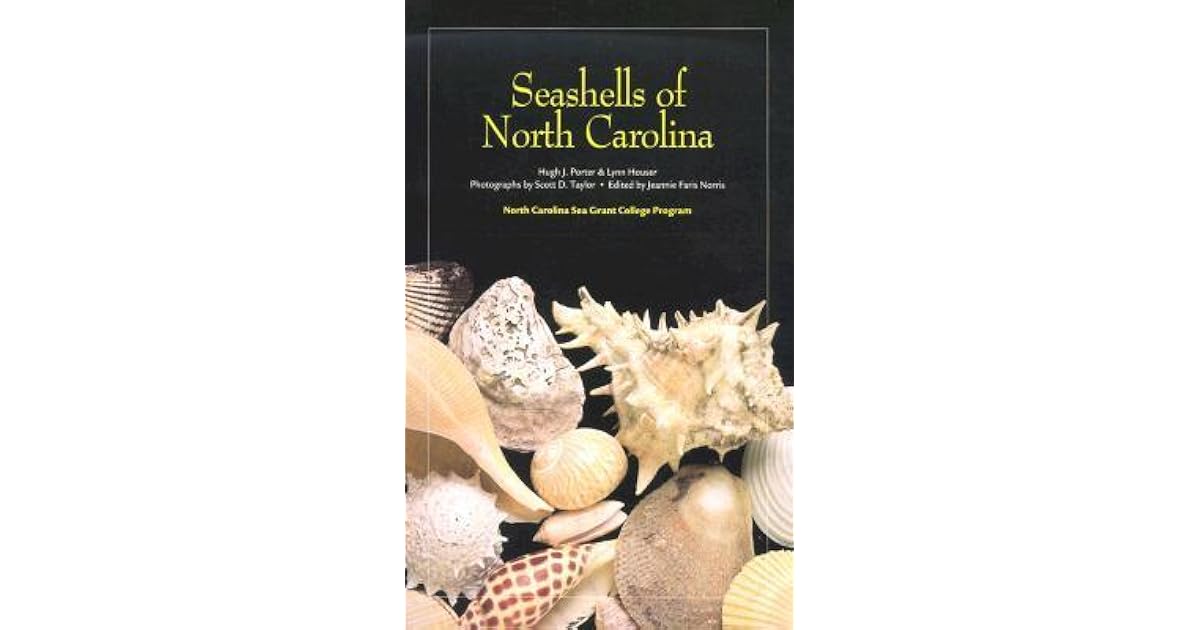 Seashells of North Carolina by Hugh J. Porter