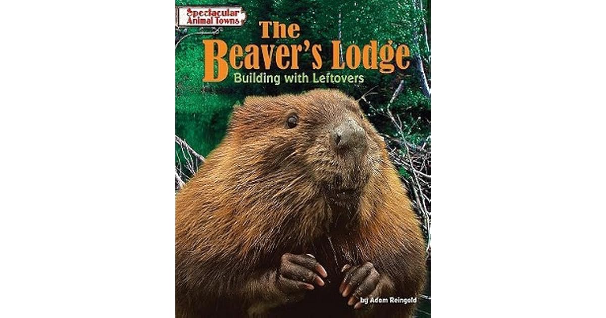 The Beaver's Lodge: Building with Leftovers by Adam Reingold