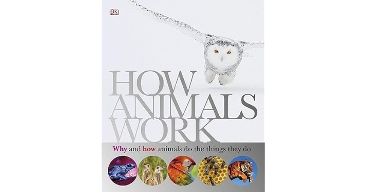 How Animals Work by David Burnie