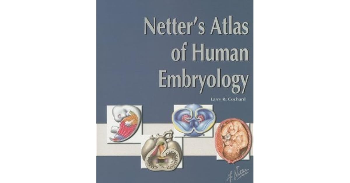 Netter's Atlas of Human Embryology by Larry R. Cochard