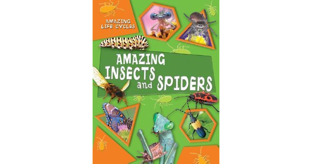 Amazing Insects and Spiders by George C. McGavin