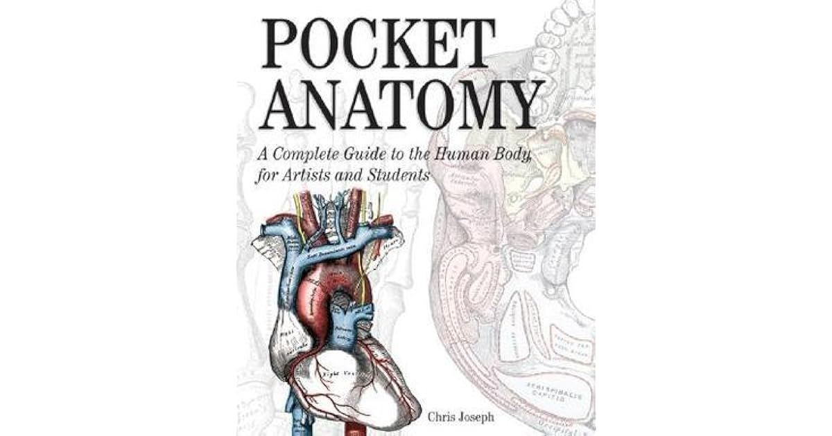 Pocket Anatomy: A Complete Guide To The Human Body, For Artists And ...