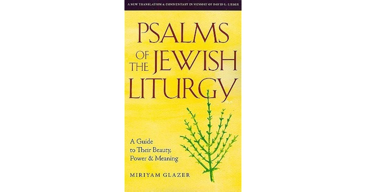 Psalms of the Jewish Liturgy: A Guide to Their Beauty, Power, and ...