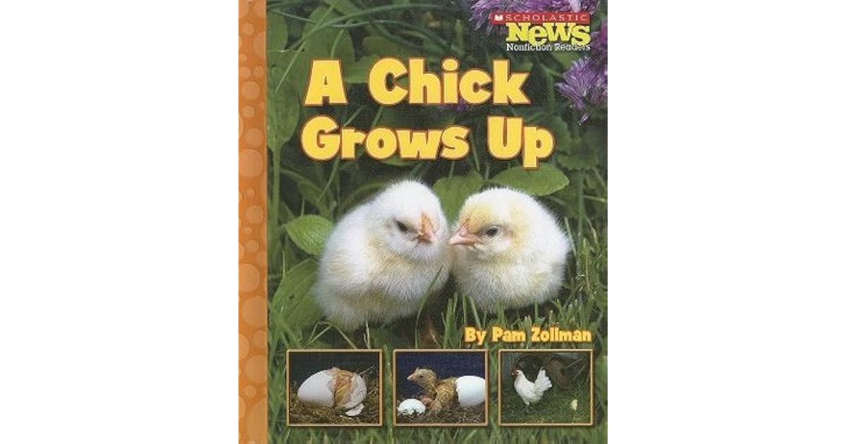 A Chick Grows Up by Pam Zollman
