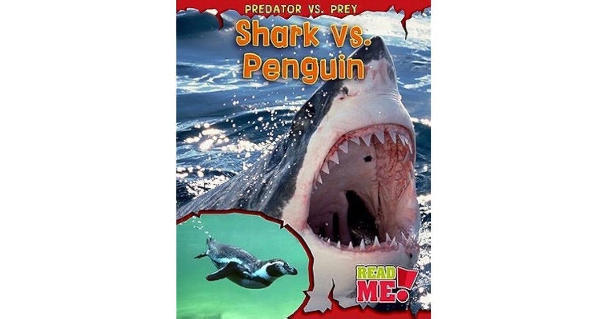 Shark vs. Penguin by Mary Meinking