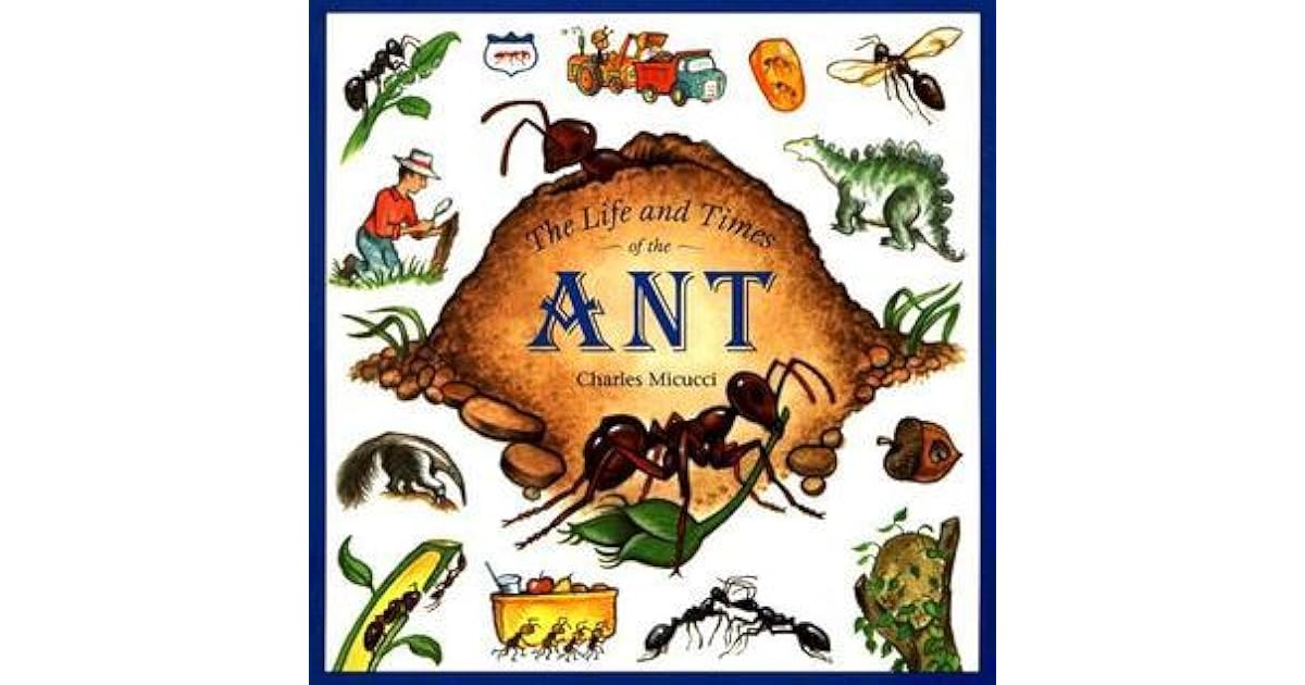 The Life and Times of the Ant by Charles Micucci