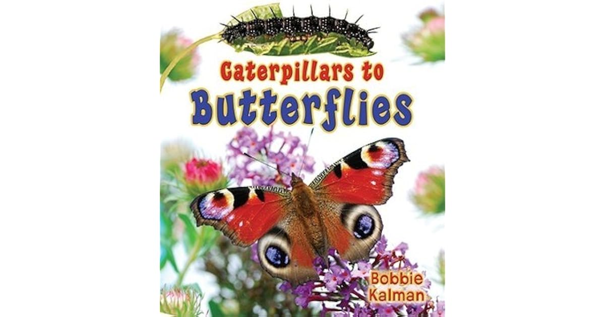 Caterpillars to Butterflies by Bobbie Kalman