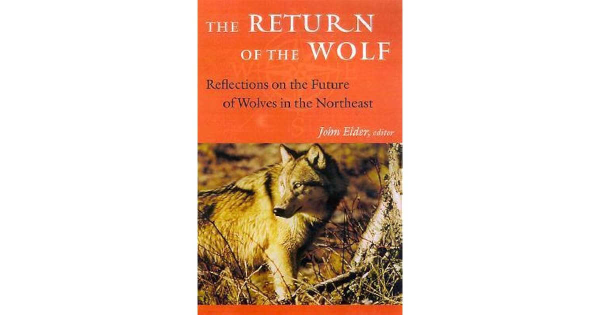 The Return of the Wolf: Reflections on the Future of Wolves in the ...