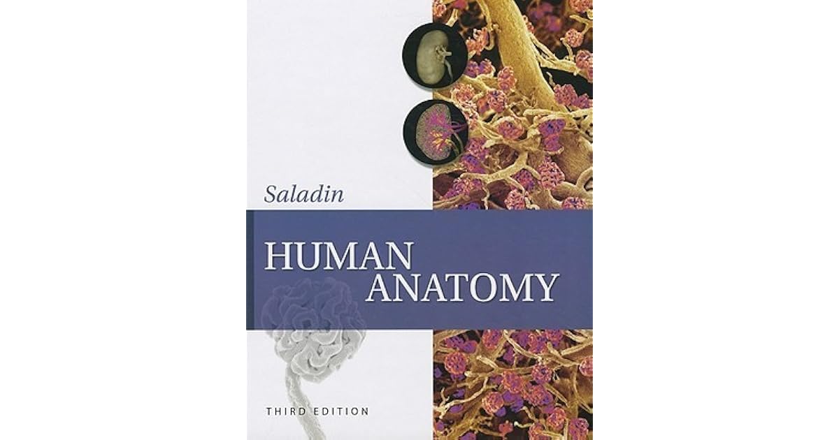 Human Anatomy by Kenneth S. Saladin