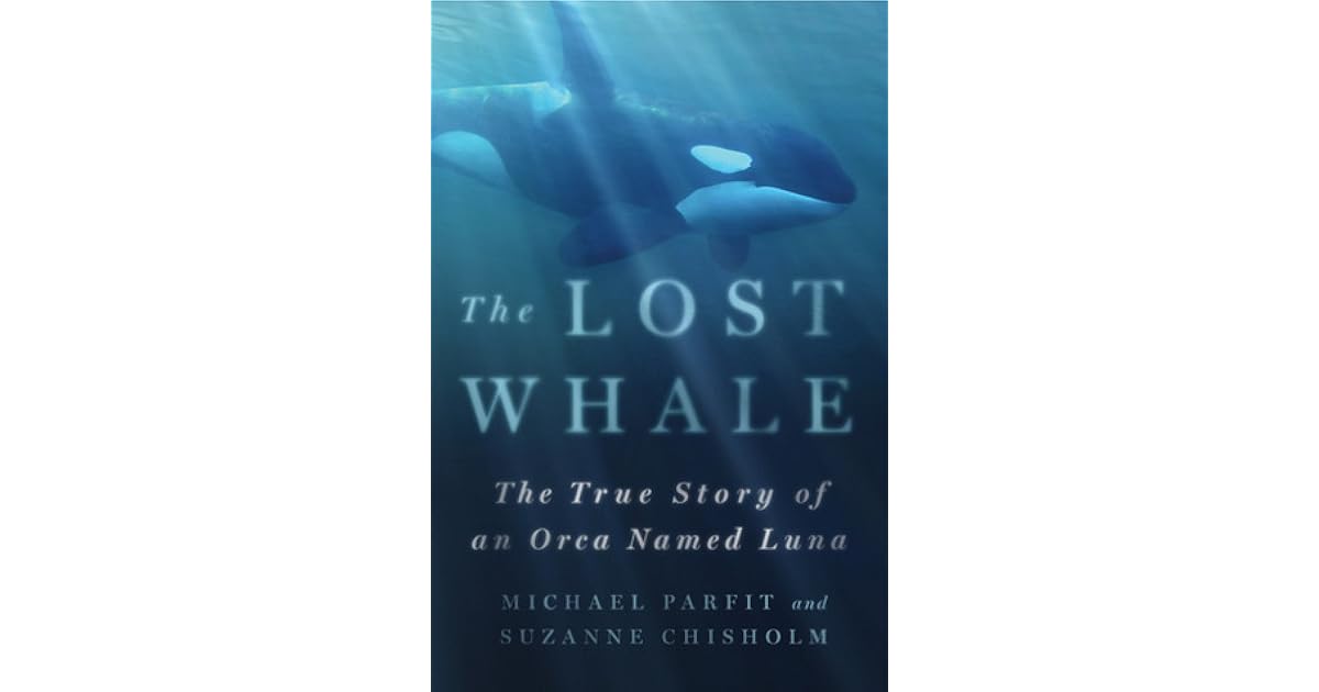 The Lost Whale: The True Story of an Orca Named Luna by Michael Parfit