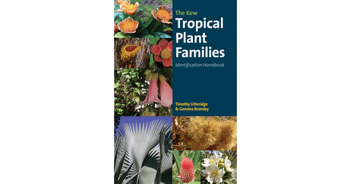 The Kew Tropical Plant Families Identification Handbook by Timothy M.A ...